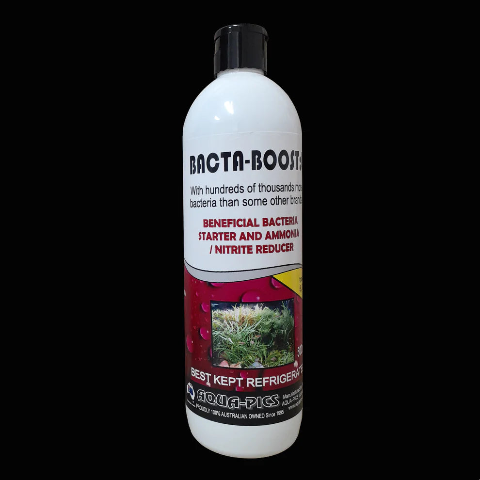 Bacta Boost L Liquid Beneficial Bacteria Supplement
