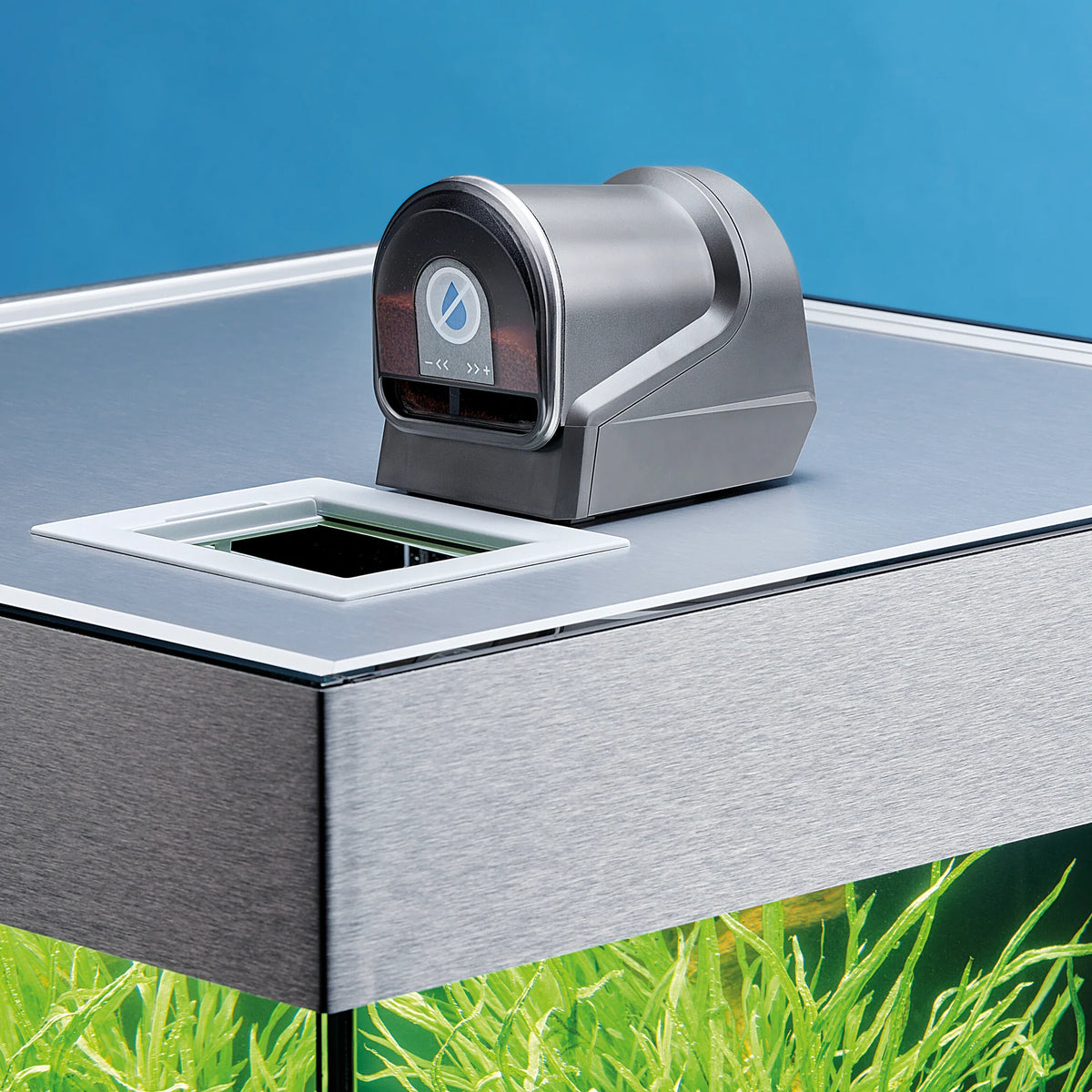 OASE FishGuard Automatic Feeder
