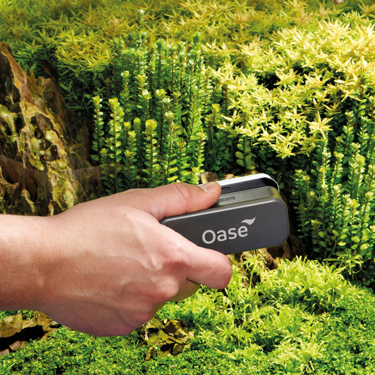 OASE Magnetic Glass Cleaner