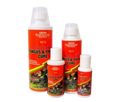 Buy Australian Pet Supplies Fungus & Fin Rot Cure Online | Ponds R Us